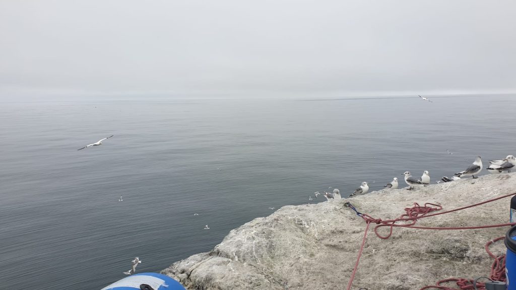 Expedition Updates - Rockall 2023